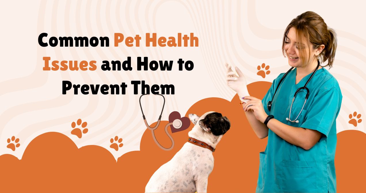 Common Pet Health Issues & Prevention Tips | ZoodleApp