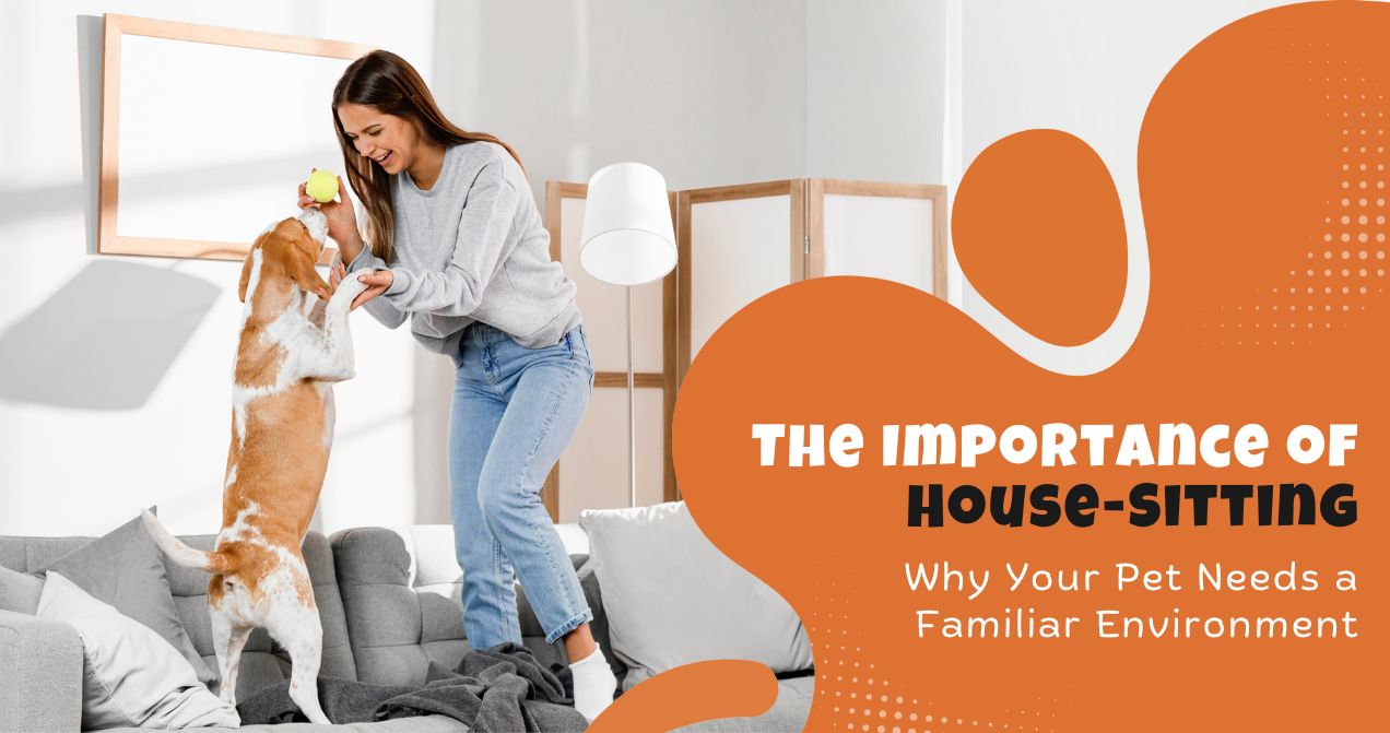 The Importance of House-Sitting for Pet | ZoodleApp