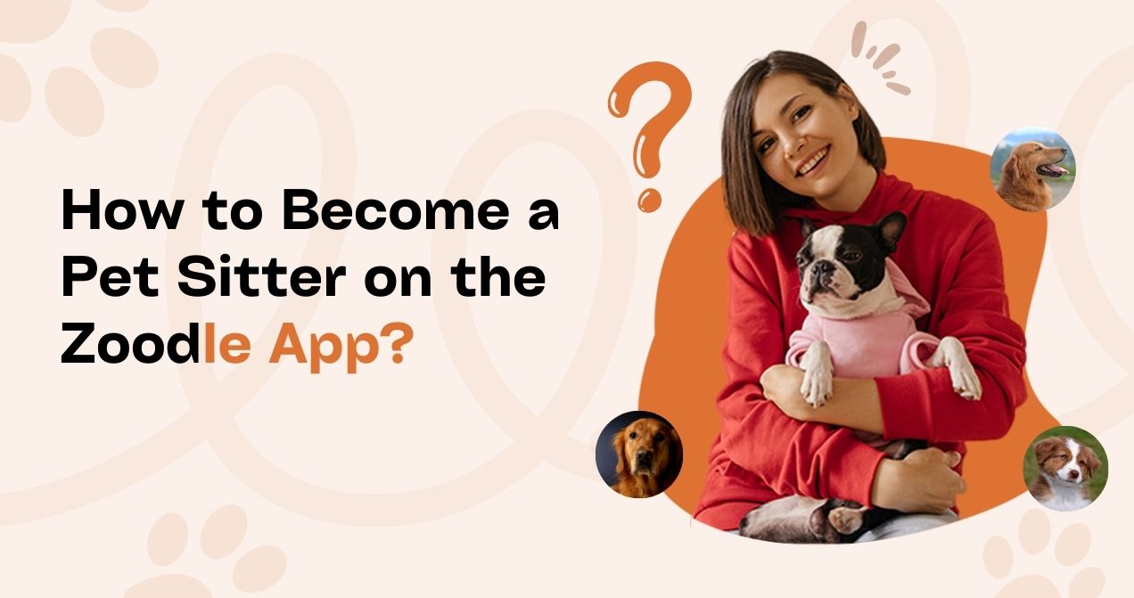 ZoodleApp: Easy Pet Care Booking in 3 Taps
