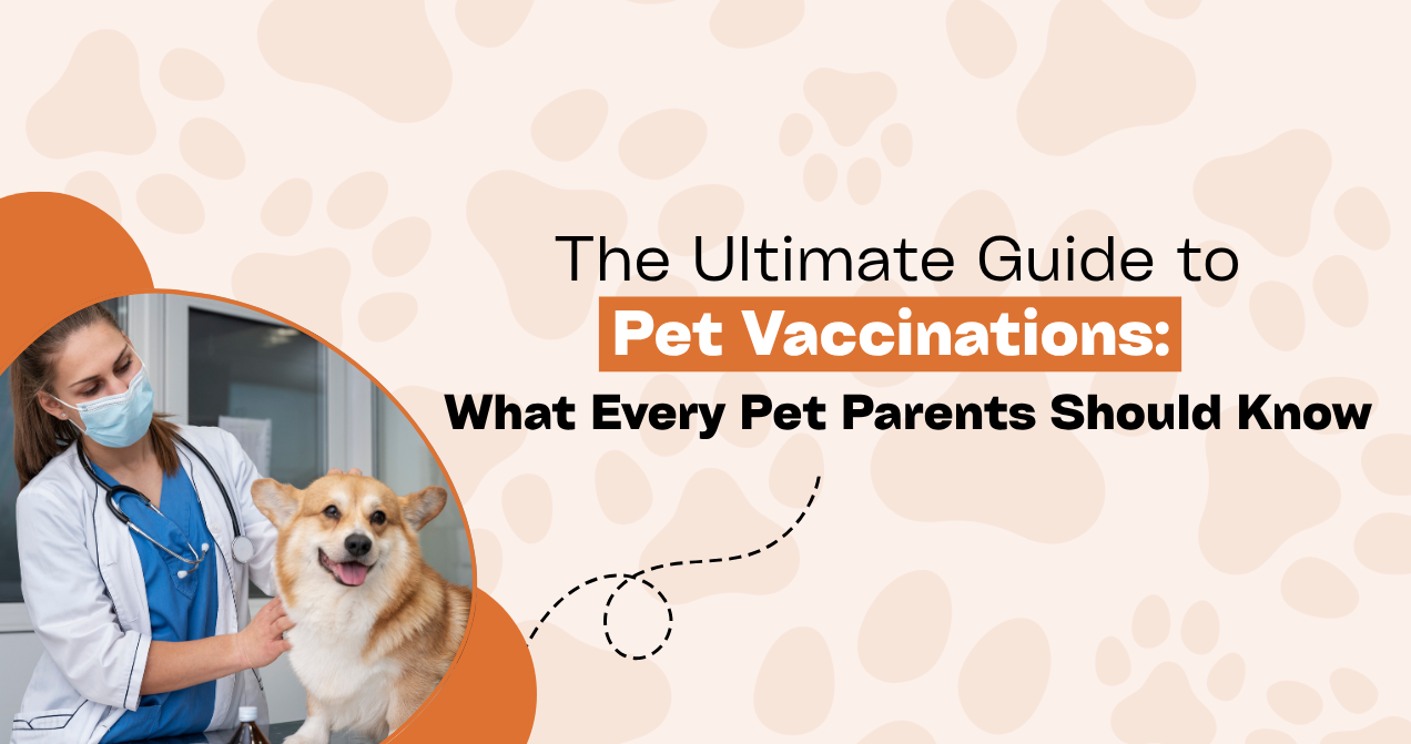 The Ultimate Guide to Pet Vaccinations: Keep Your Pet Safe and Healthy