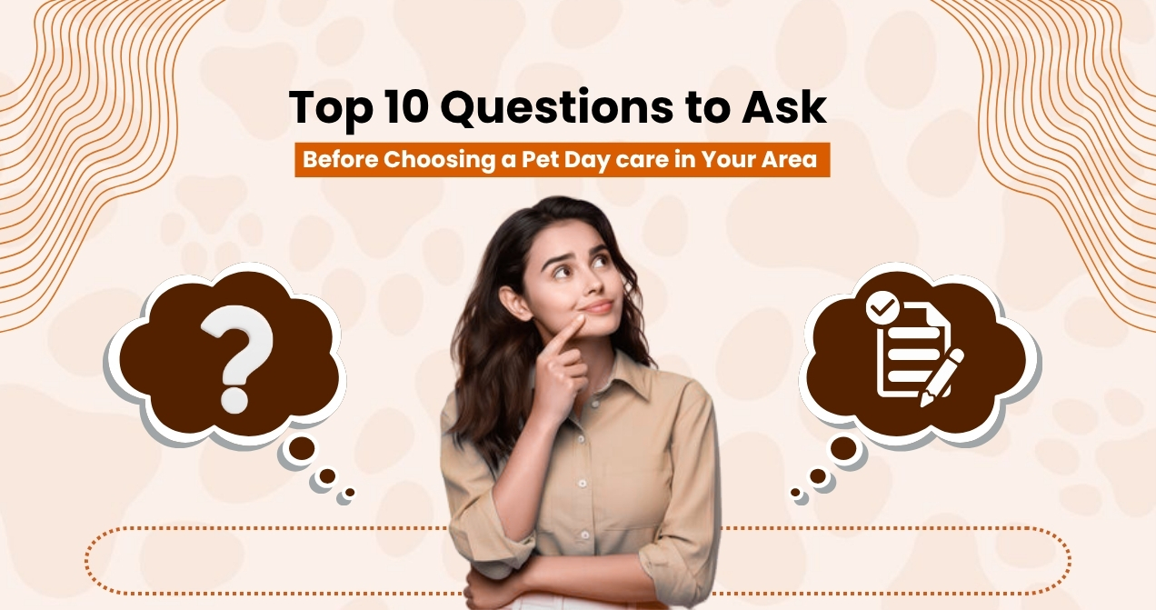 ZoodleApp | Find Trusted Pet Sitters Nearby