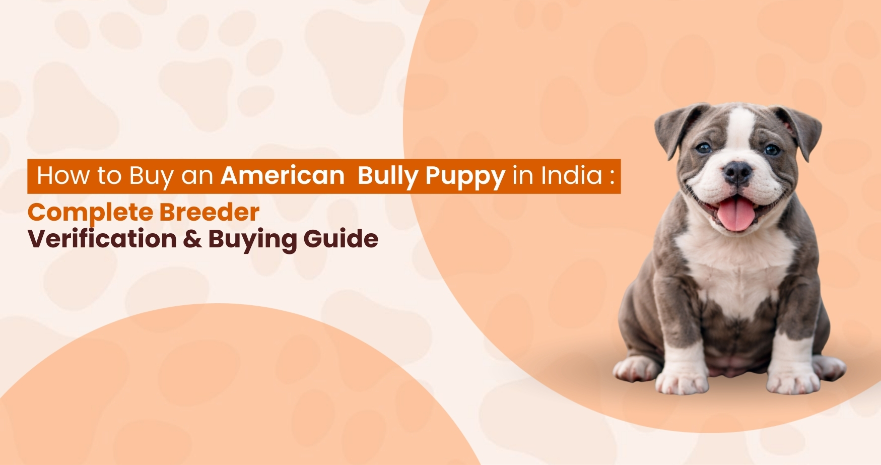 American Bully Price in India – Complete Guide