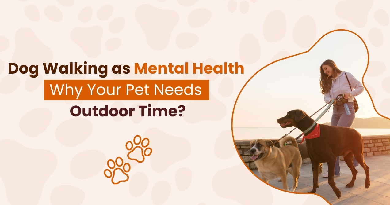 Dog Walking Services for Mental Health | ZoodleApp