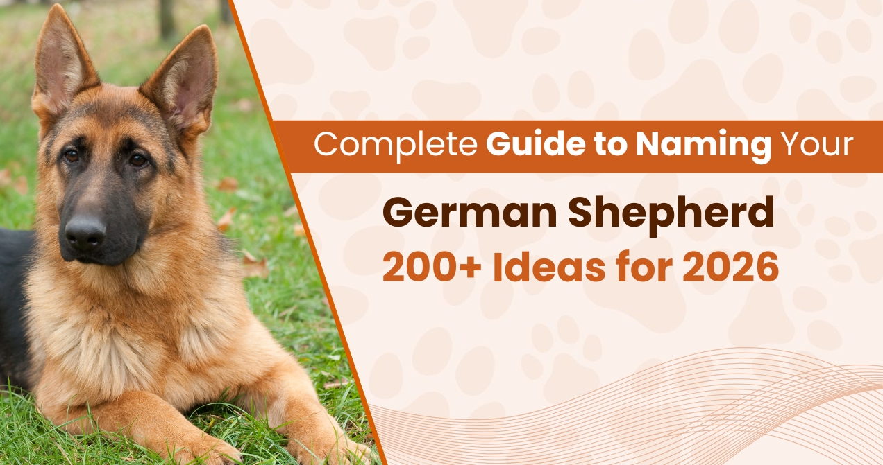 Good Dog Names For German Shepherds