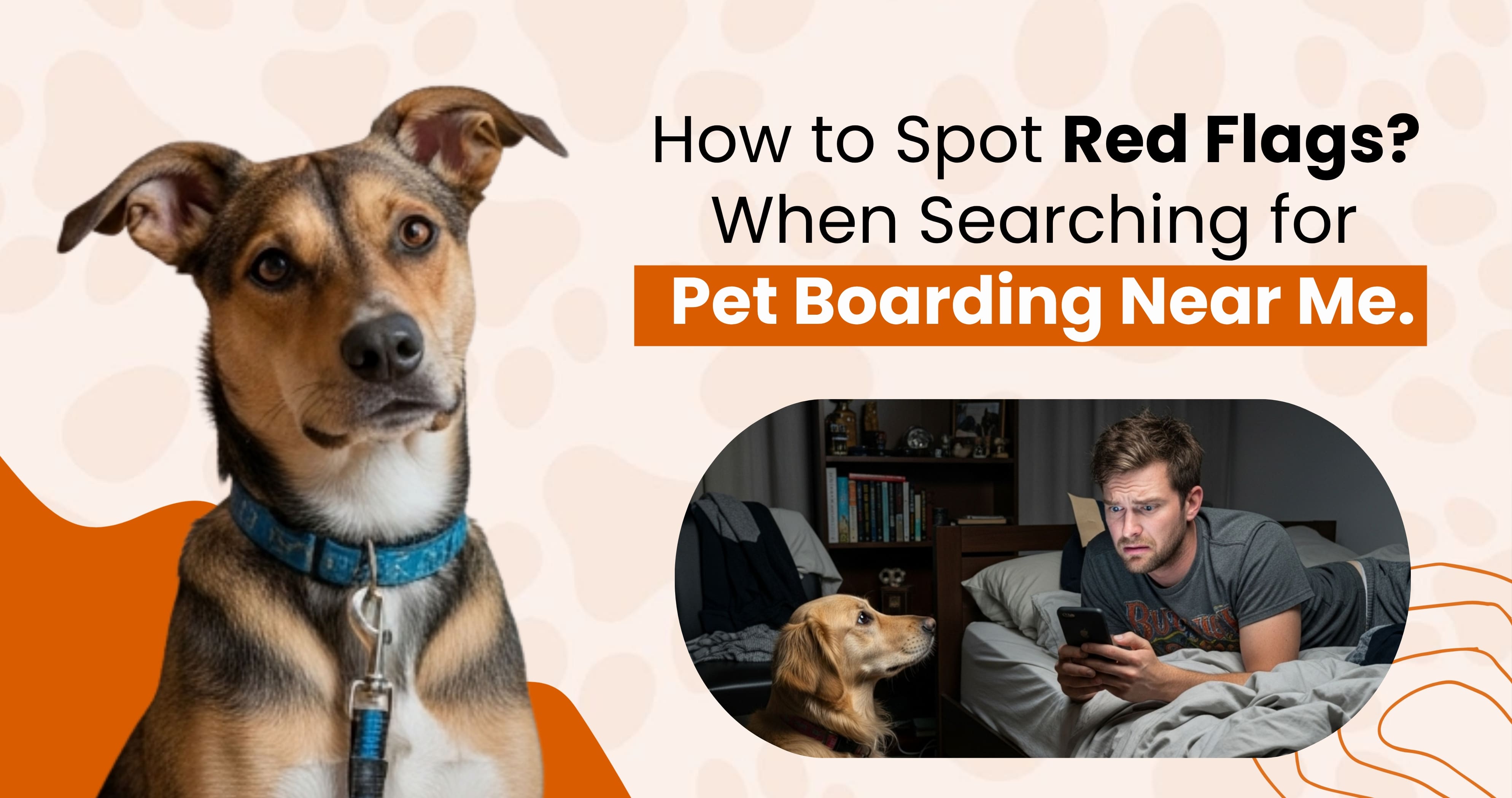 ZoodleApp Find Trusted Pet Sitters Nearby ZoodleApp Find Trusted Pet Sitters Nearby